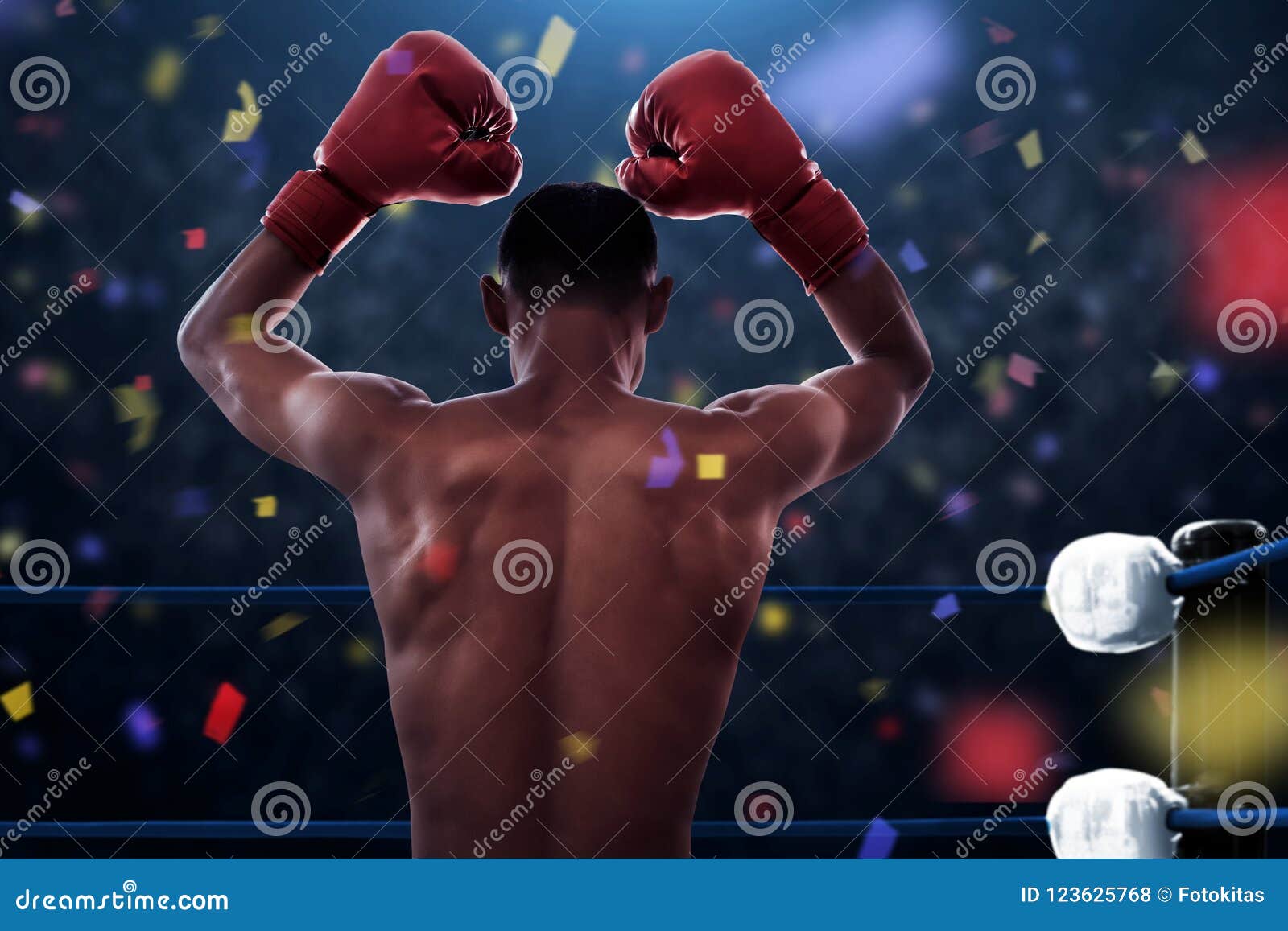 Boxer Athlete Win the Match Stock Photo - Image of hands, fighter ...