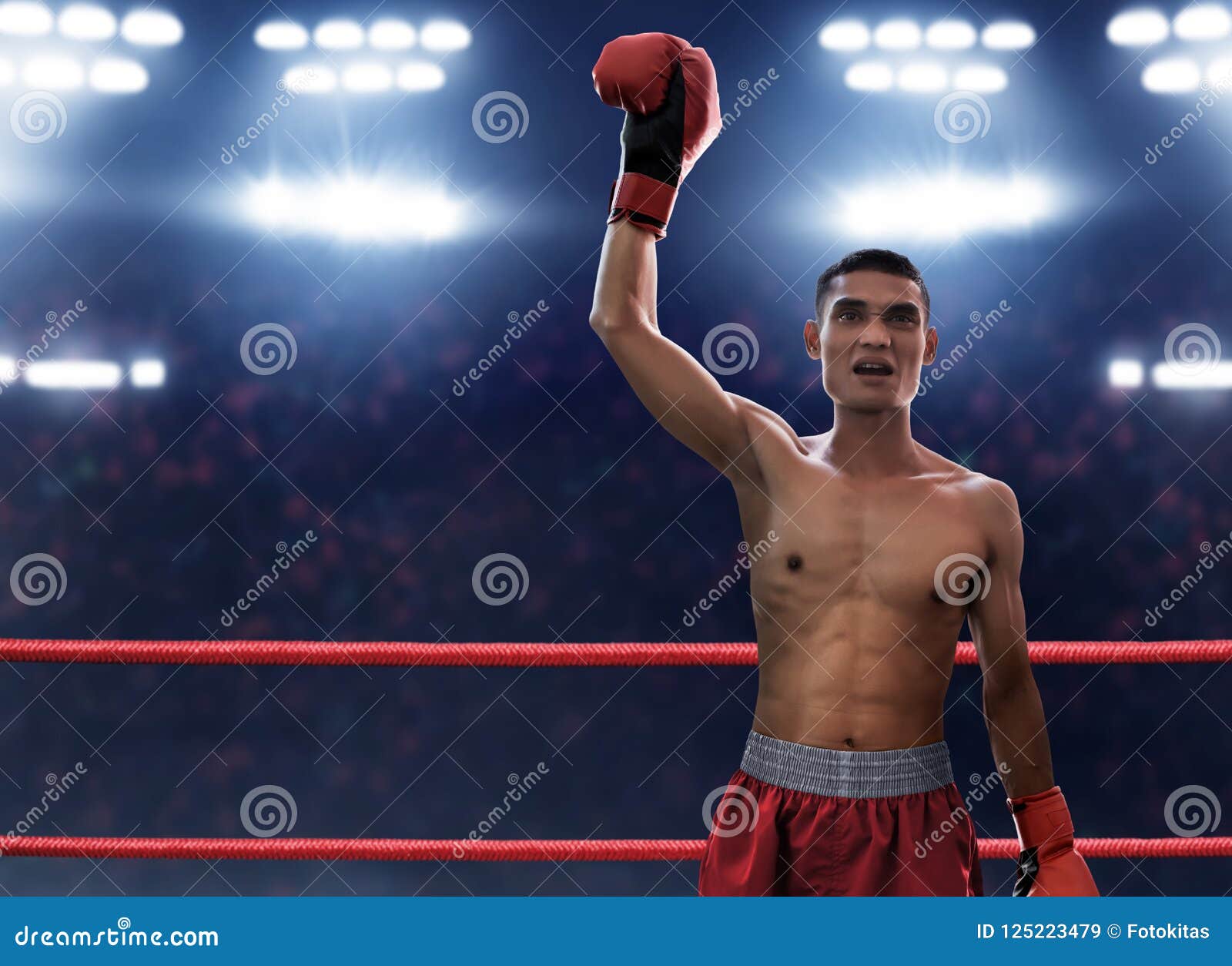 Boxer Athlete Winning the Matches Stock Image - Image of challenge ...