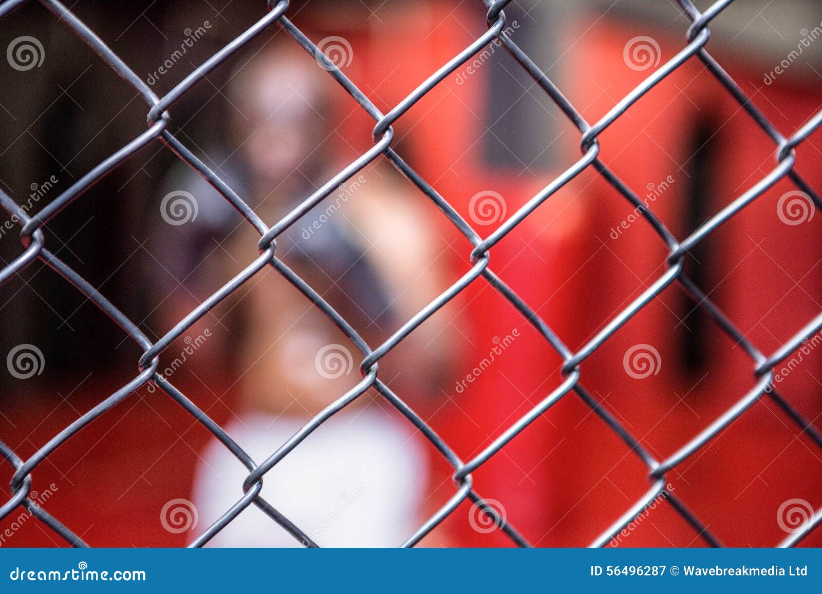 Boxer behind an iron fence stock image. Image of definition - 56496287