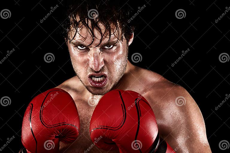 Boxer Boxing stock photo. Image of caucasian, isolated - 19531664