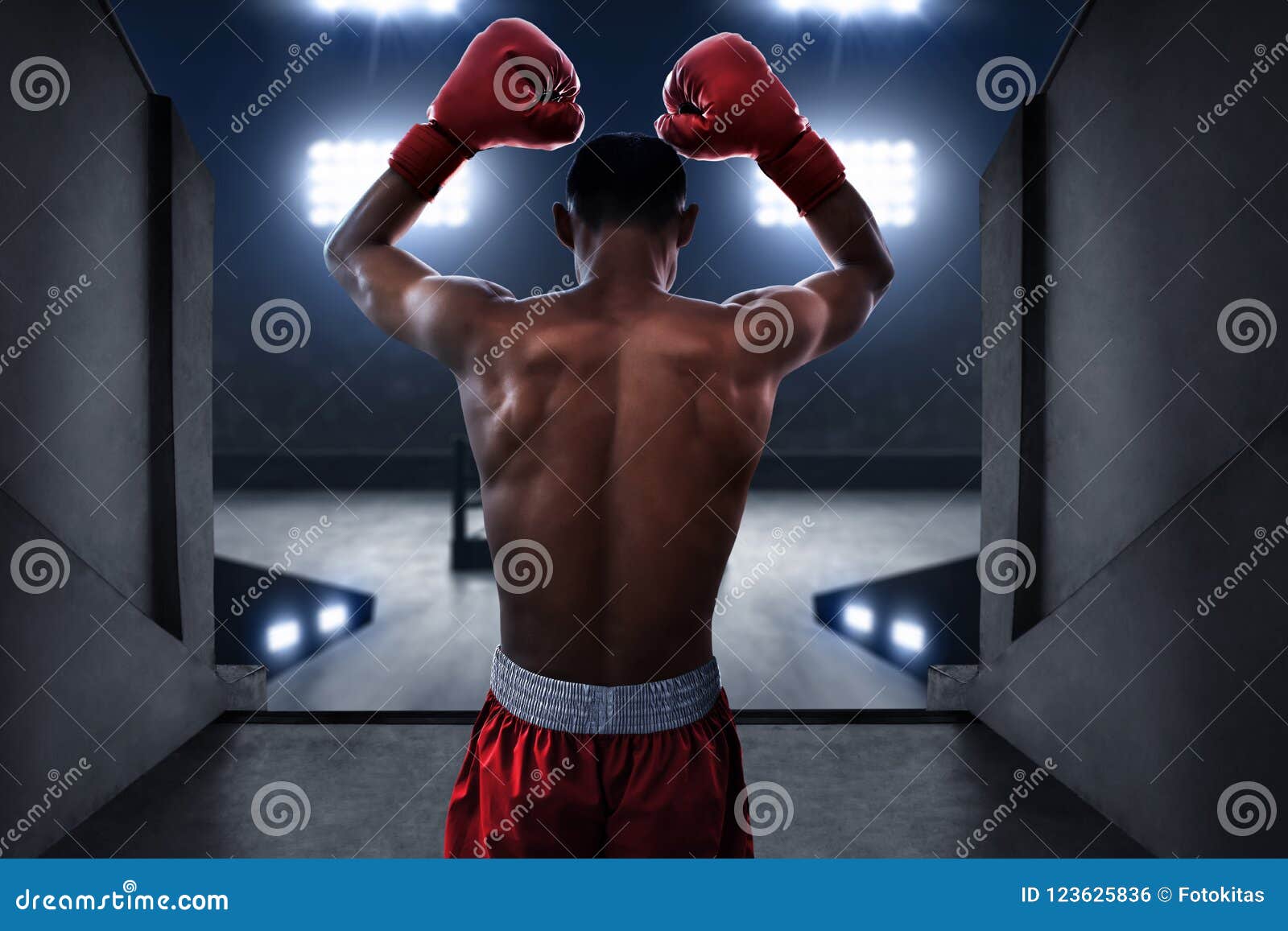 Boxer in Boxing Arena Entrance Stock Photo - Image of kickboxing, match ...