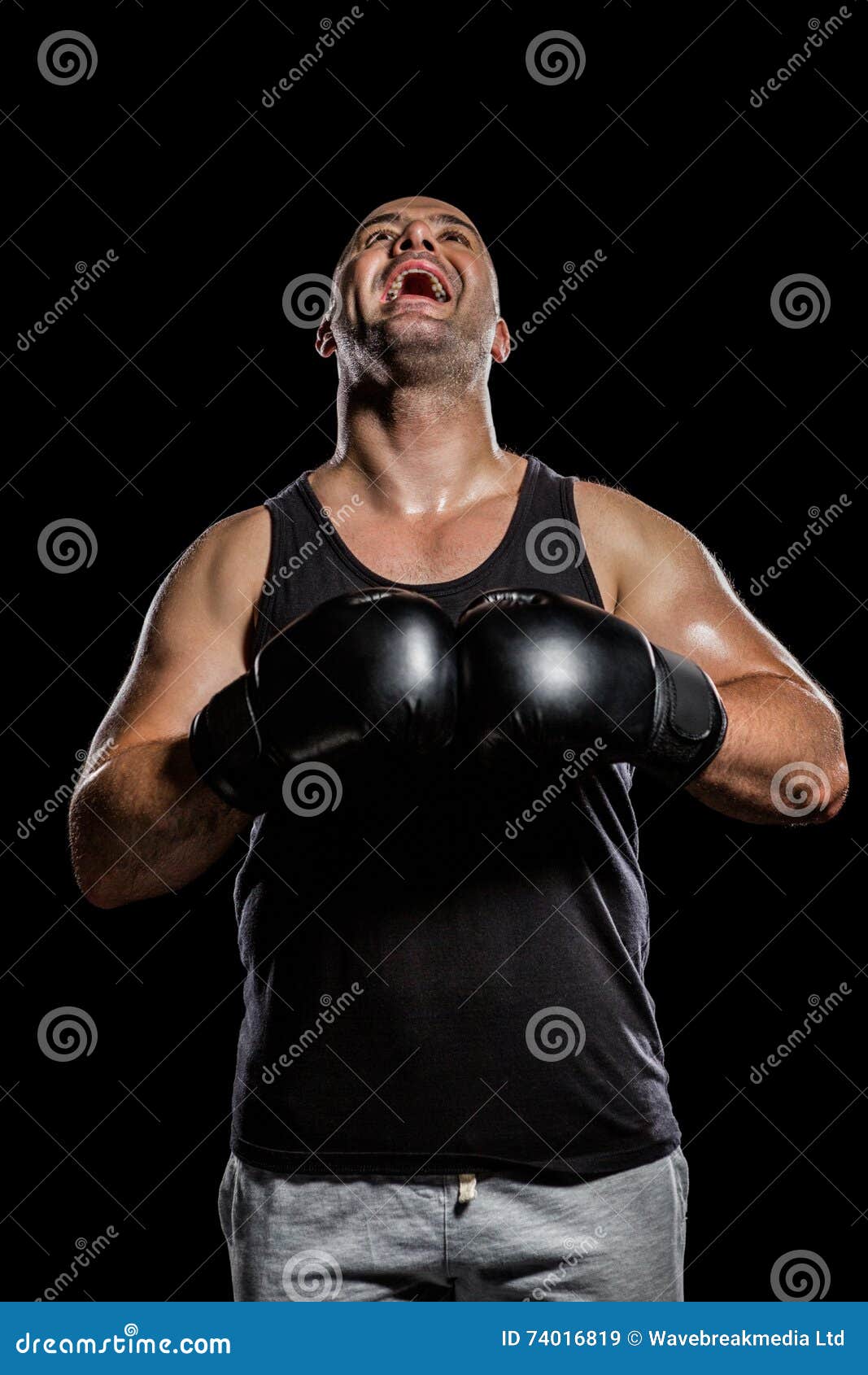 Boxer in Boxing Gloves Laughing Stock Image - Image of boxing, person ...
