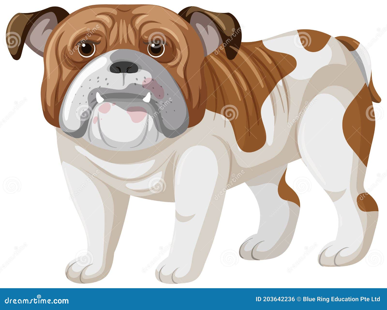 Pig Boxer. Cartoon Style. Isolated Image On White Background ...