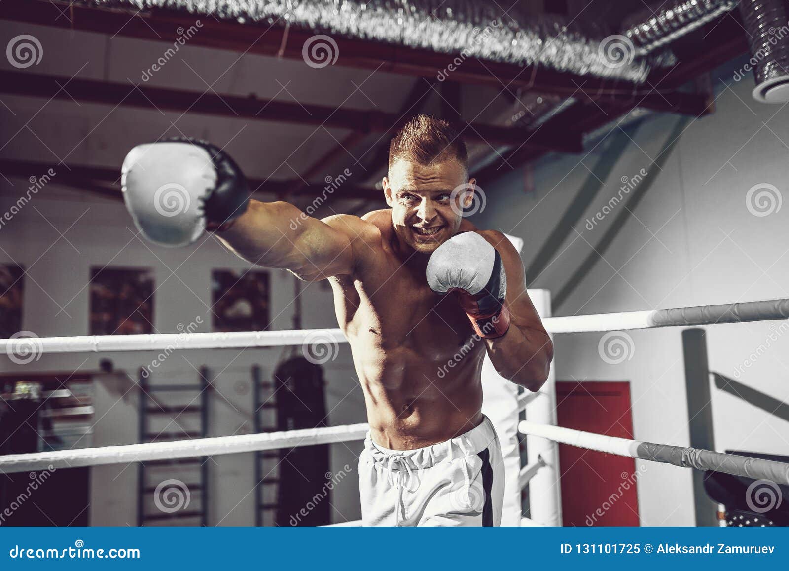 Boxer. Confident Young Boxer on the Boxing Ring Stock Image - Image of ...