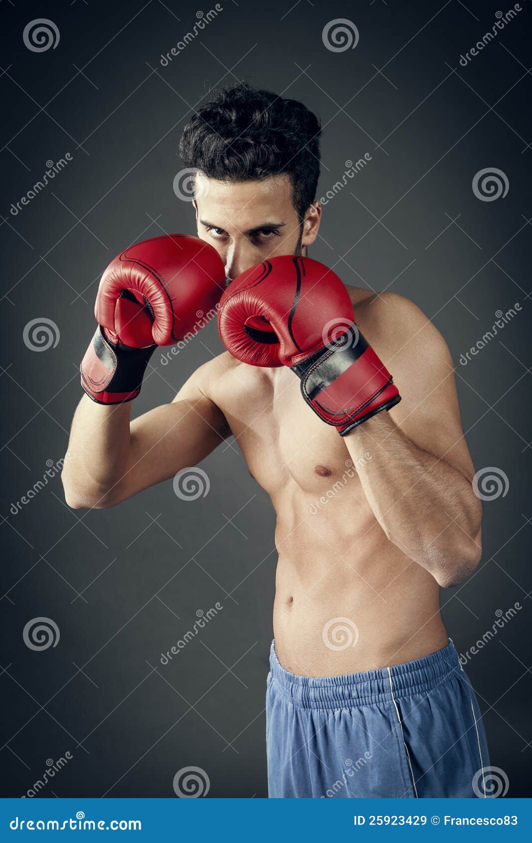 Boxer in Defensive Position Stock Image - Image of waiting, ready: 25923429