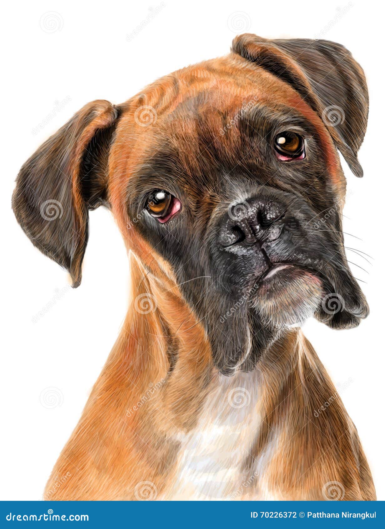 Boxer Cartoon Vector | CartoonDealer.com #13109267