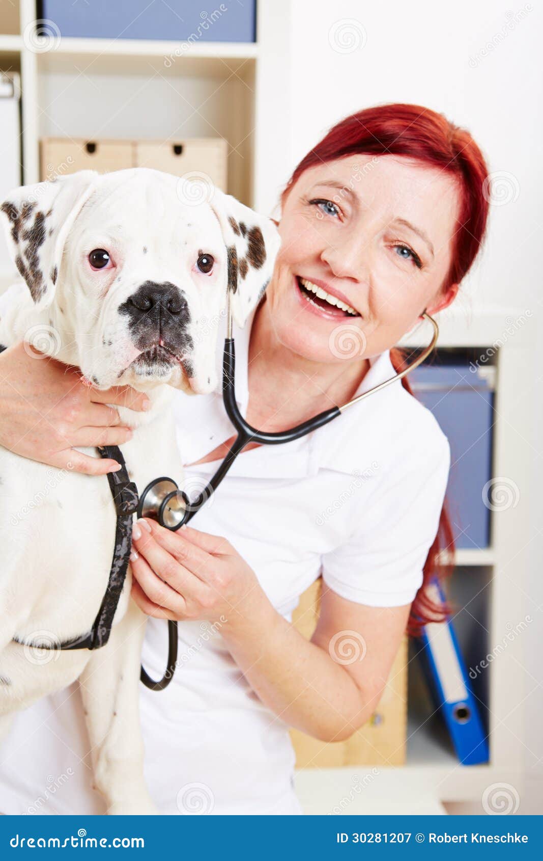Boxer Dog at the Veterinarian Stock Image - Image of person, patient ...