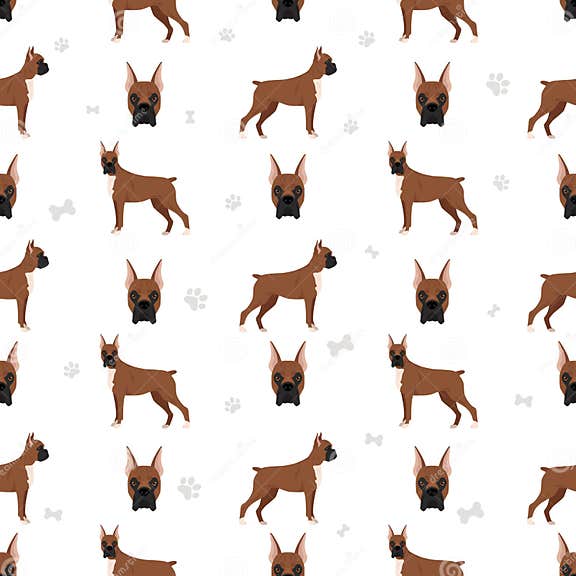 Boxer dog seamless pattern stock vector. Illustration of adult - 264802390