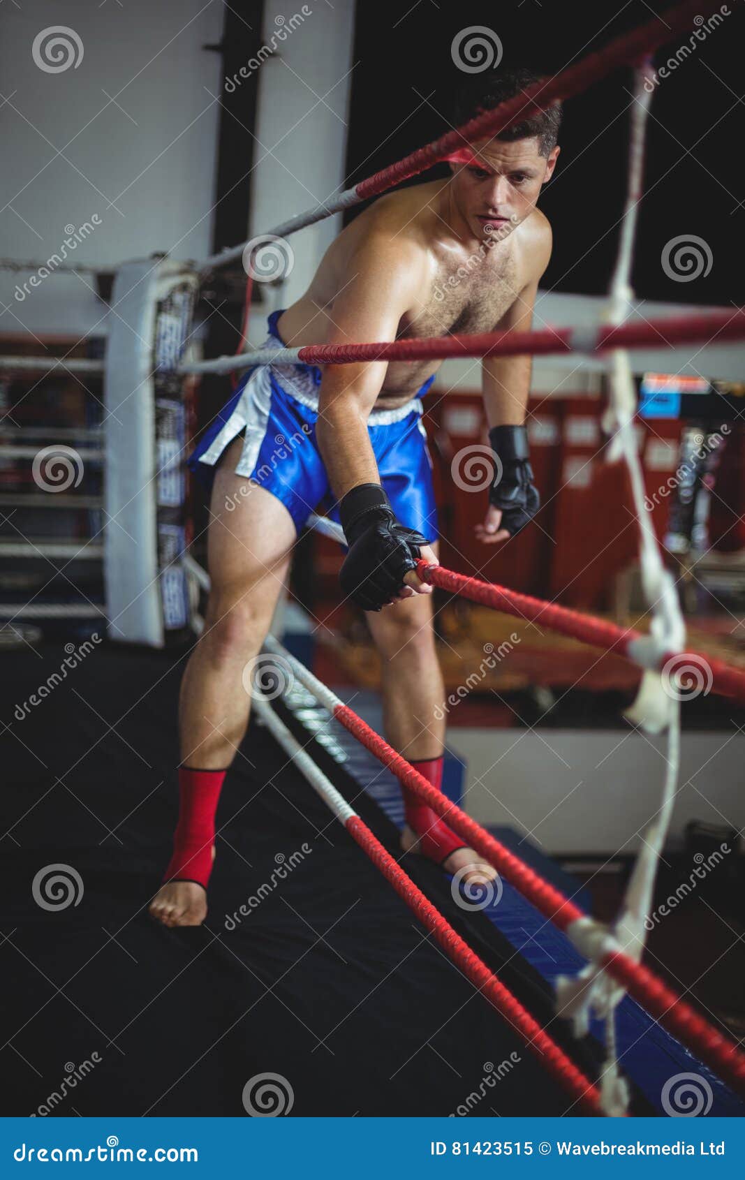 Boxer Entering in Boxing Ring Stock Image - Image of lifestyle, effort ...