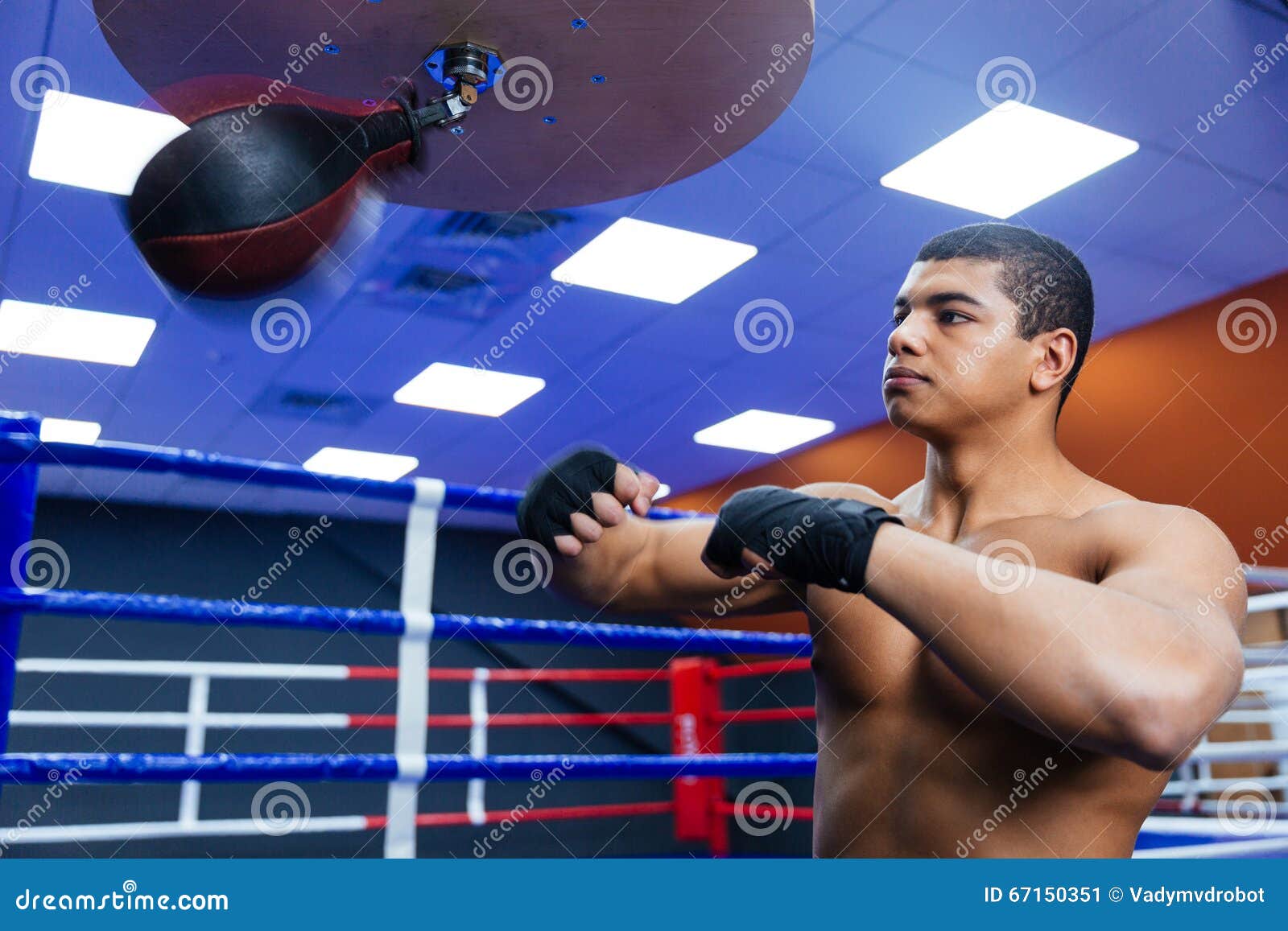 Boxer Exercising with the Speed Bag Stock Image - Image of male ...