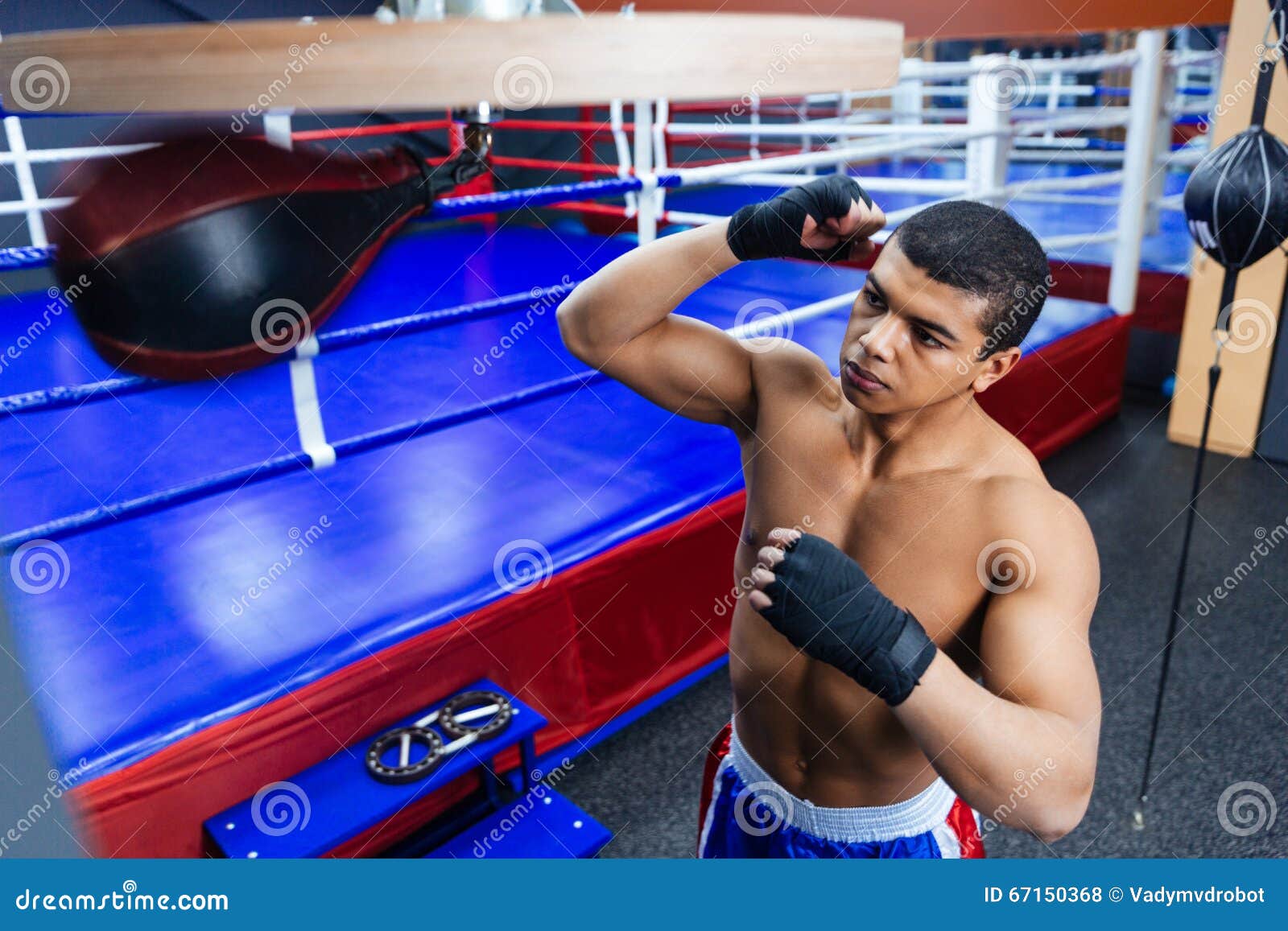 Boxer Exercising with the Speed Bag Stock Photo - Image of ...