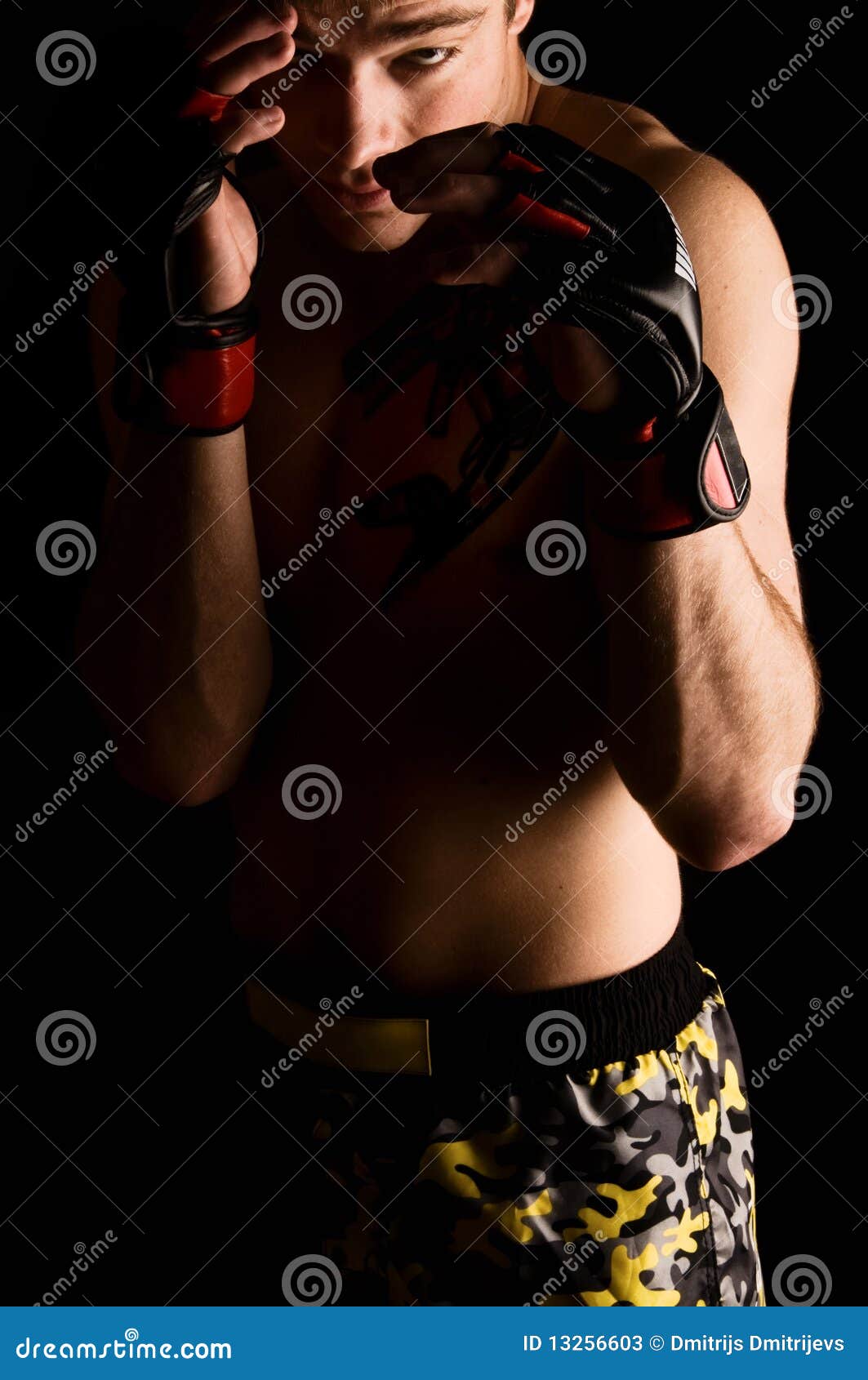 Boxer fighter stock image. Image of competition, fighter - 13256603