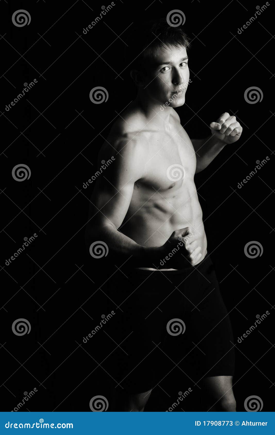 Boxer, fighter stock image. Image of powerful, chest - 17908773
