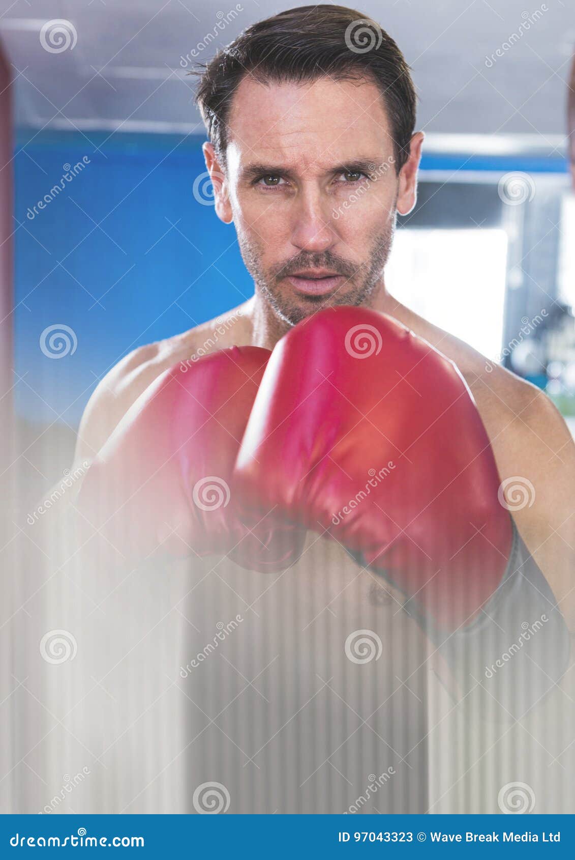 Boxer Fighter Man with Transition Stock Image - Image of head, glass ...