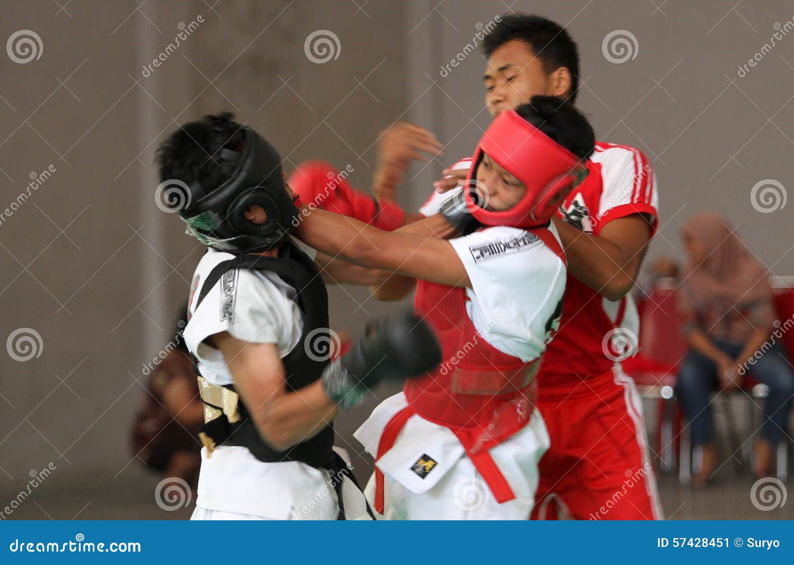 Boxer editorial photo. Image of solo, central, stadium - 57428451