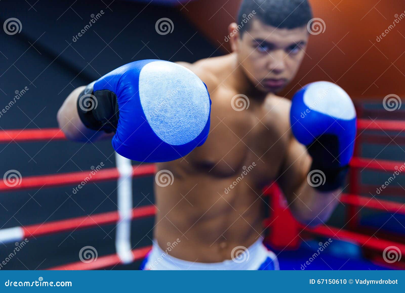 Boxer Fighting in Boxing Ring Stock Photo - Image of male, diversity ...