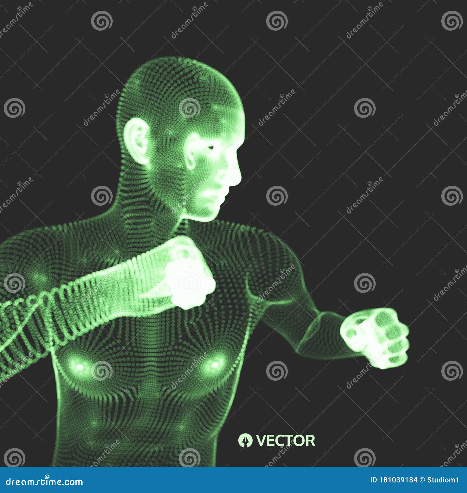 Boxer. 3D Model Of Man. Human Body. Sport Symbol. Vector Illustration ...