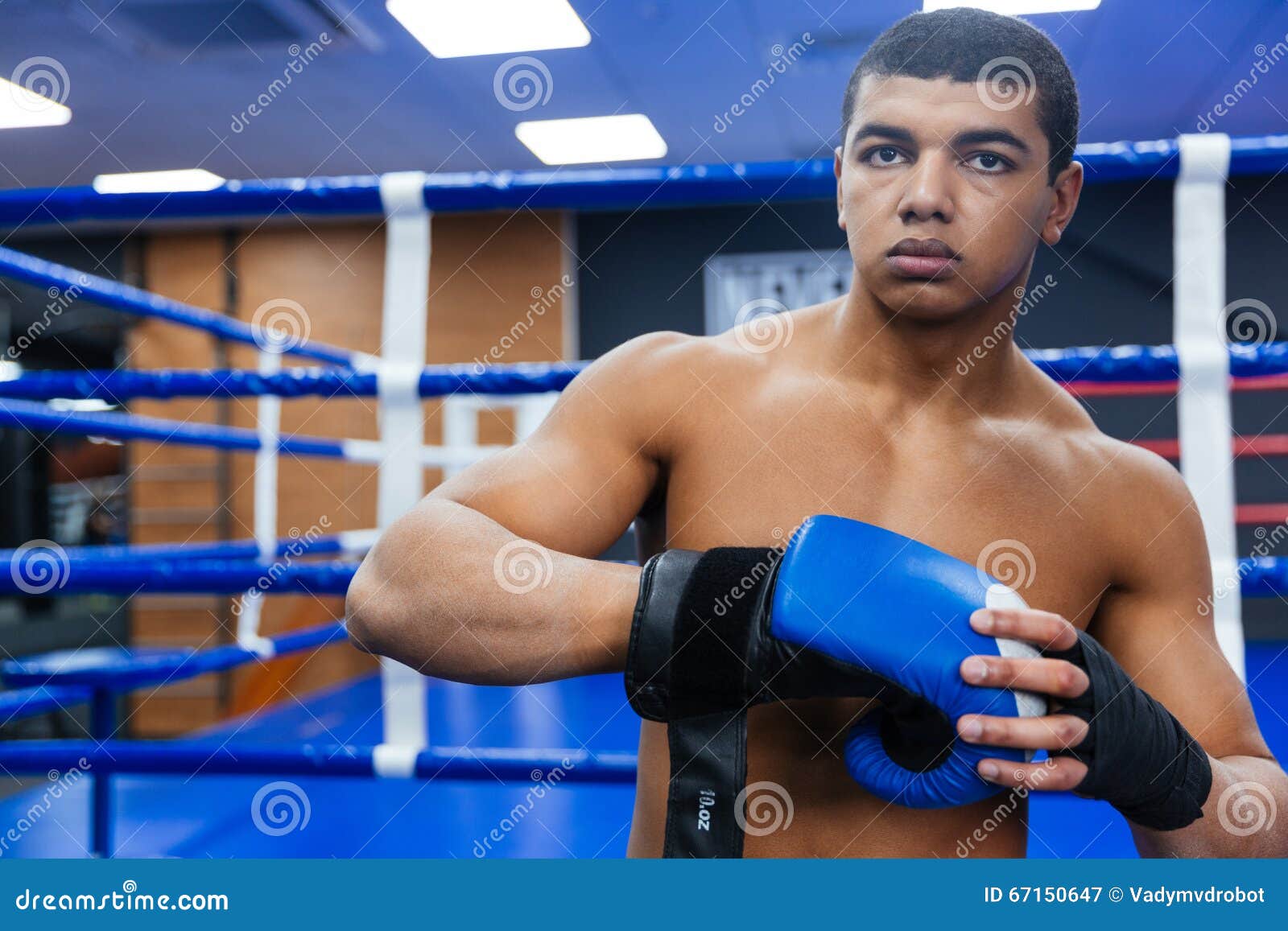 Boxer Getting Ready for Fight Stock Image - Image of rough, adult: 67150647