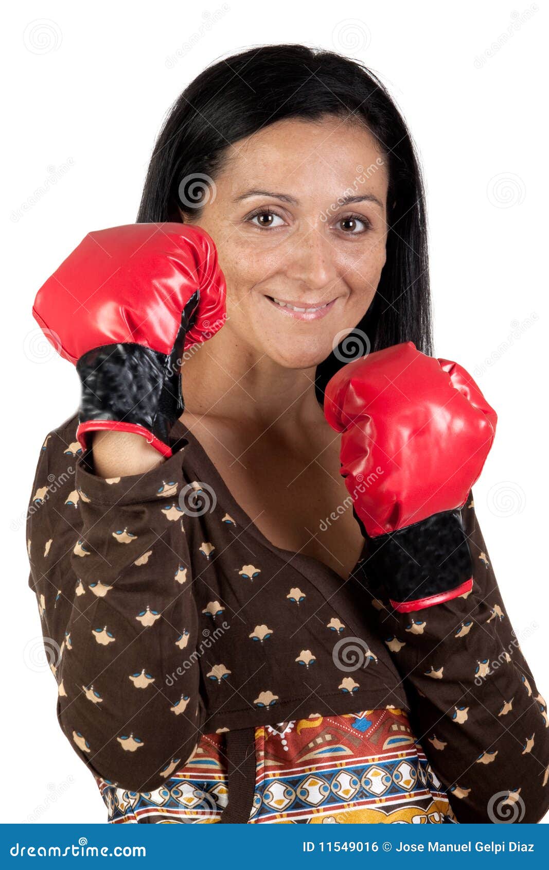 Boxer girl stock photo. Image of beauty, brown, beautiful - 11549016