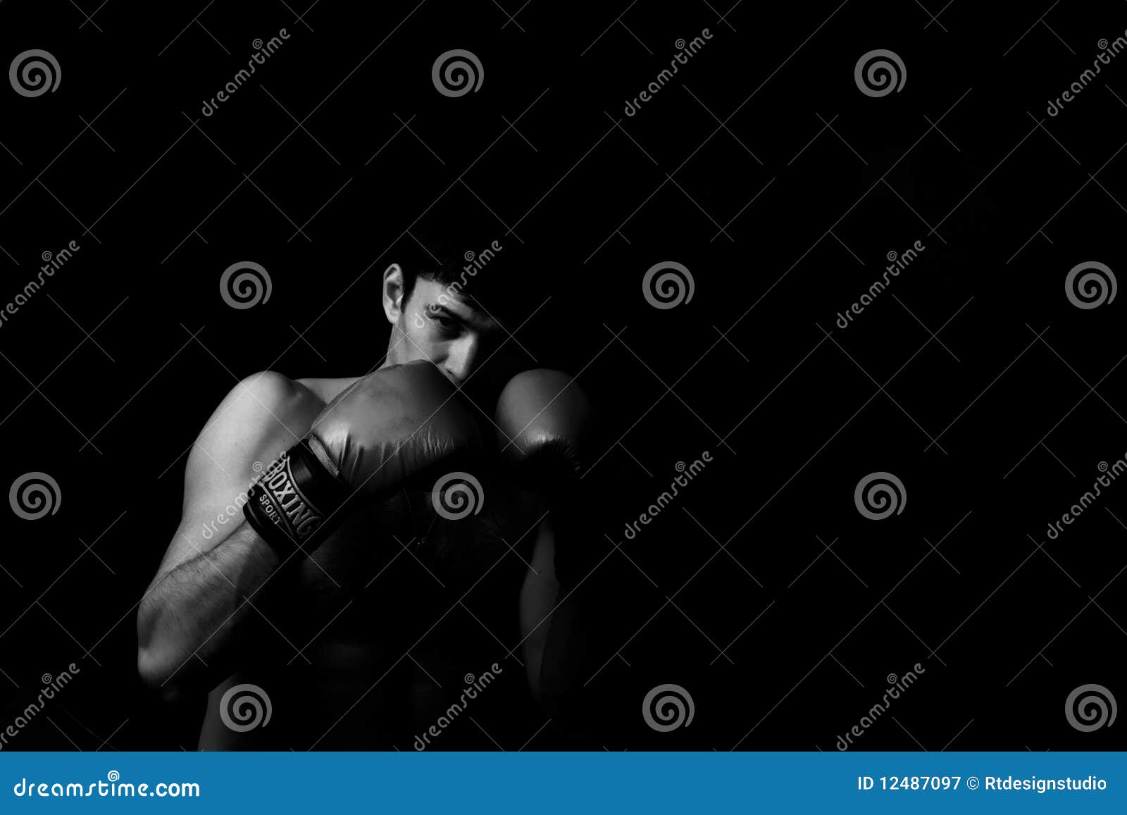 Boxer with Gloves for Fight Stock Image - Image of muscle, adult: 12487097
