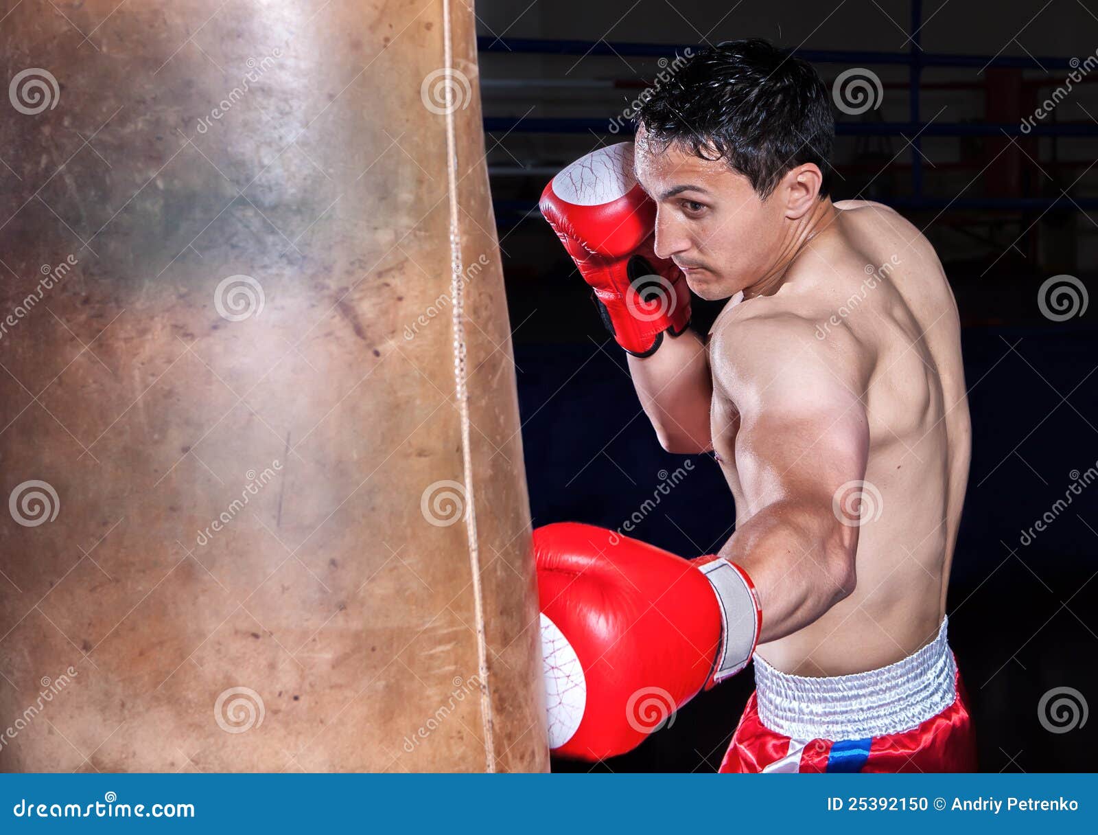Boxer Gloves on in Training Attitude Stock Photo - Image of people ...