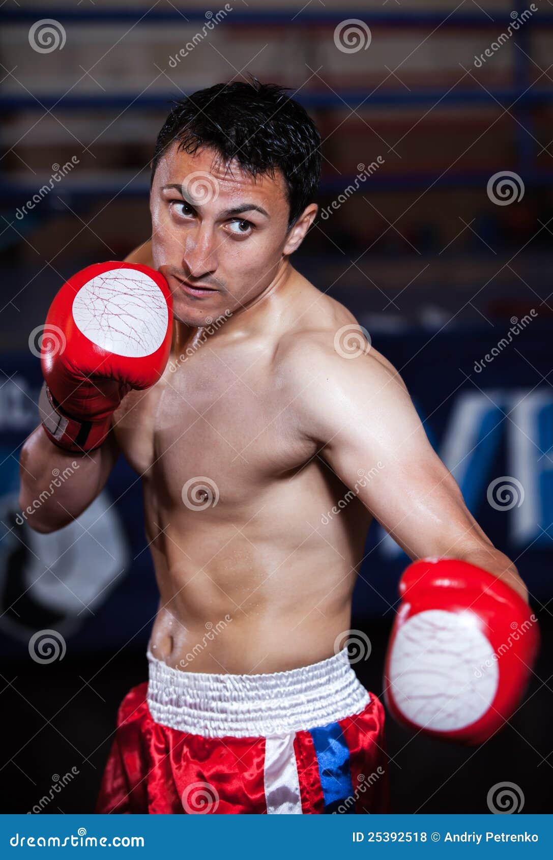 Boxer Gloves on in Training Attitude Stock Photo - Image of caucasian ...