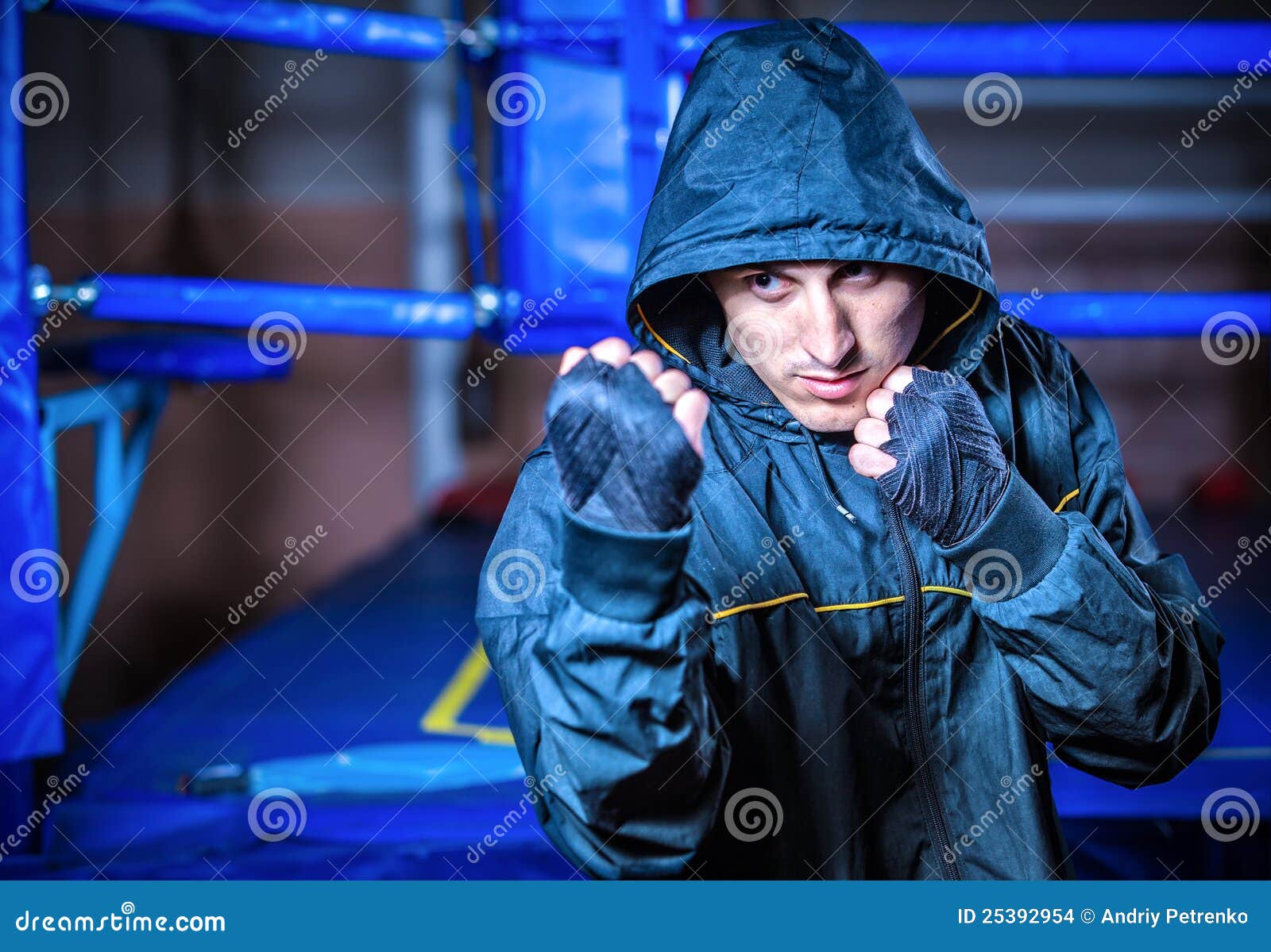 Boxer Gloves on in Training Attitude Stock Photo - Image of boxing ...