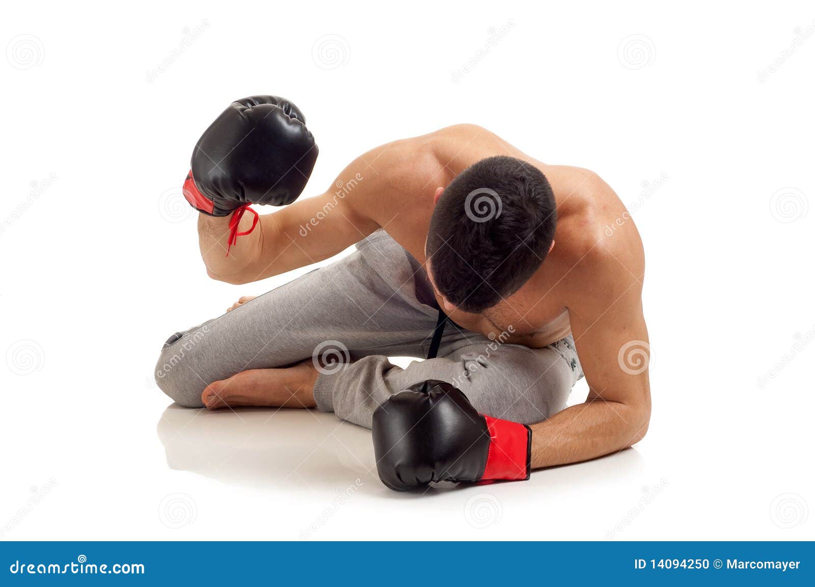 Boxer on the ground stock photo. Image of give, glove - 14094250