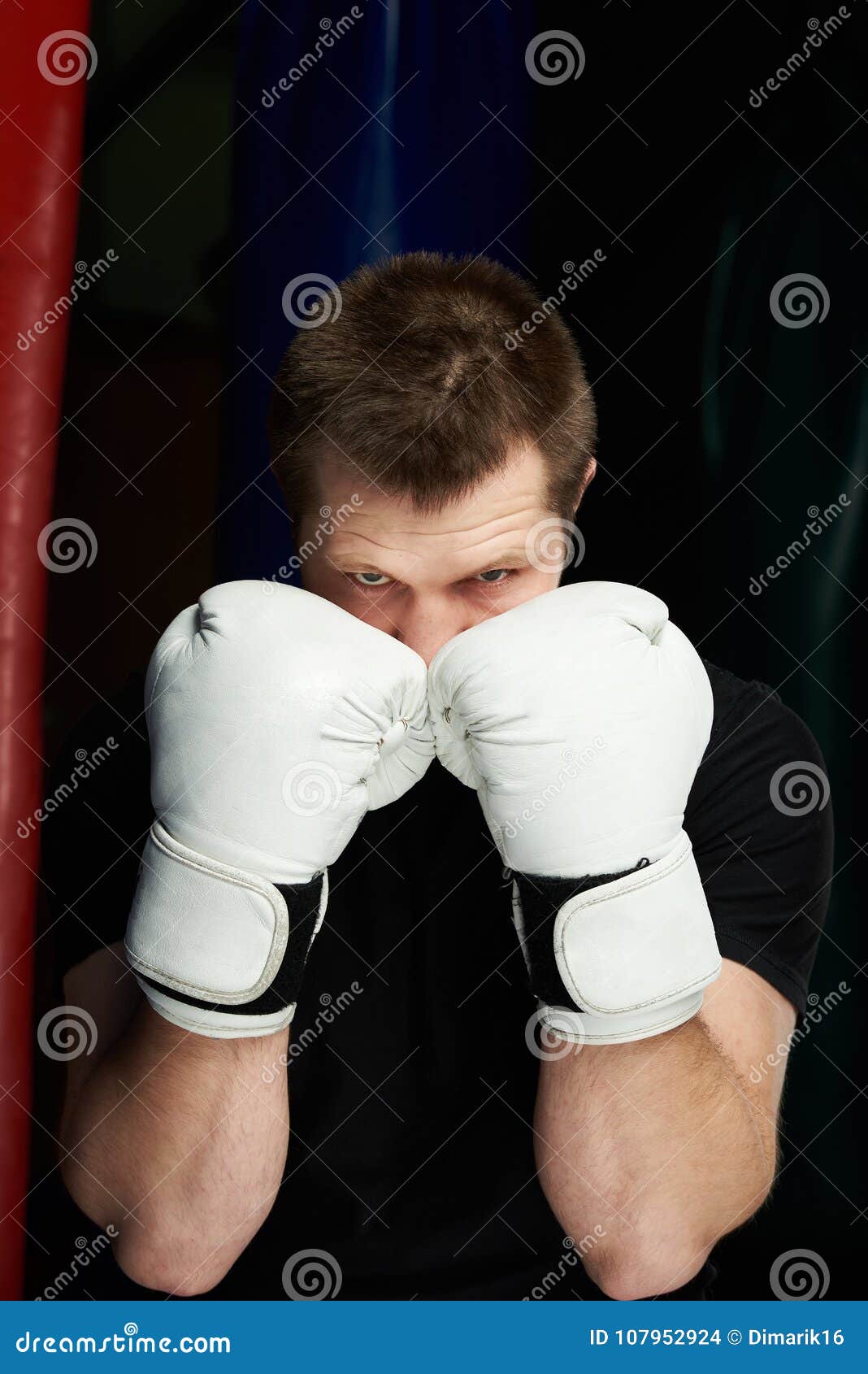 Boxer hands in gloves stock photo. Image of boxer, fitness - 107952924