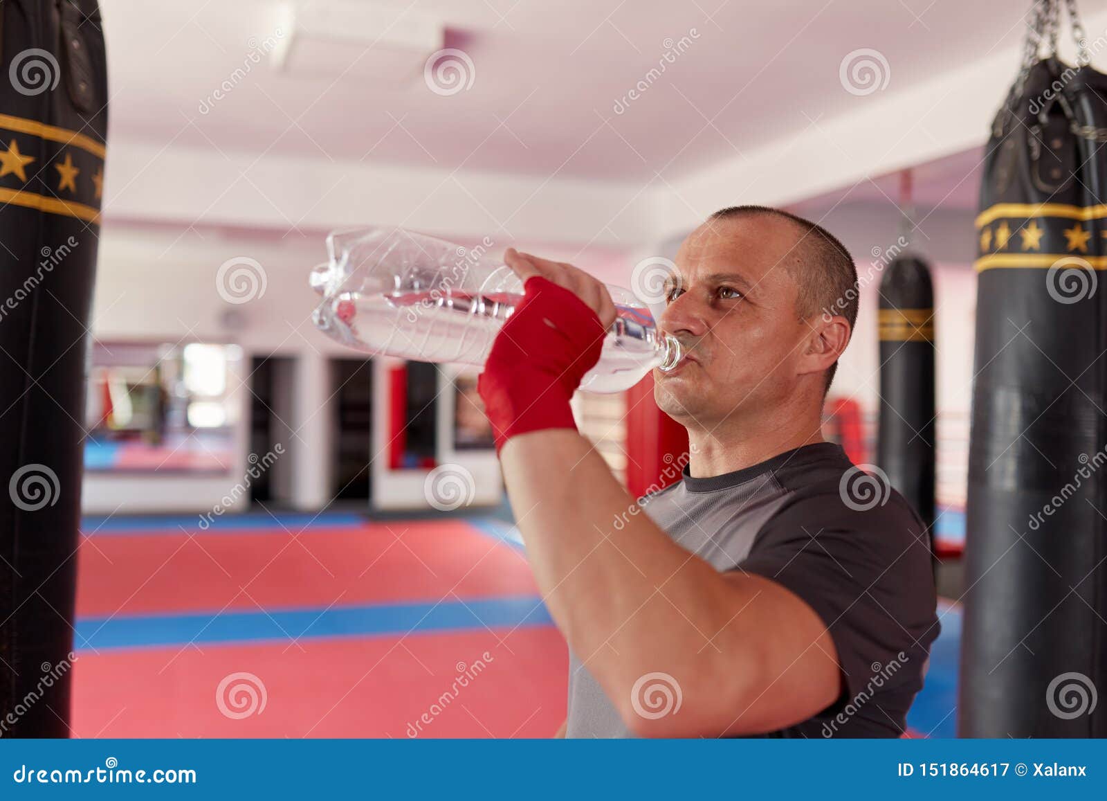 Boxer drinking water stock image. Image of active, mature - 151864617