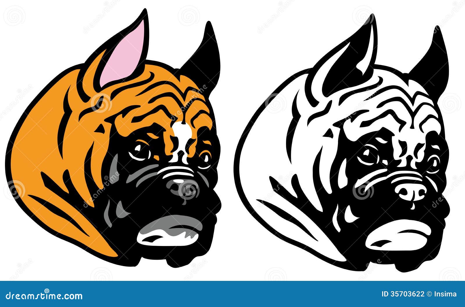 Boxer Dog Head Zentangle Stylized, Vector, Illustration, Freehand ...