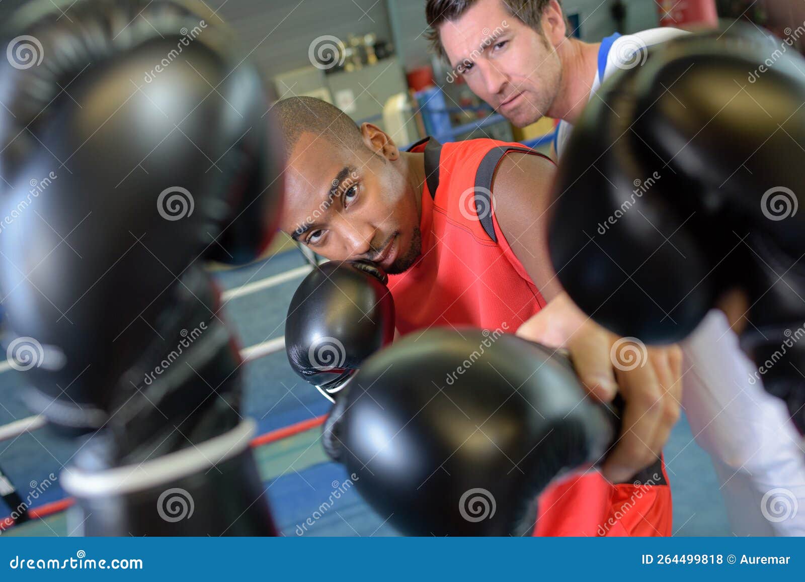 Boxer and trainer stock photo. Image of active, boxing - 264499818