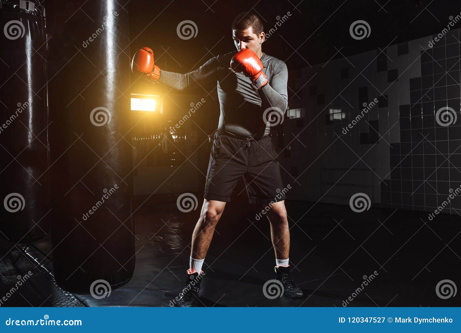 Boxer Hits a Speed Bag in the Gym, Training Shock Stock Image - Image ...