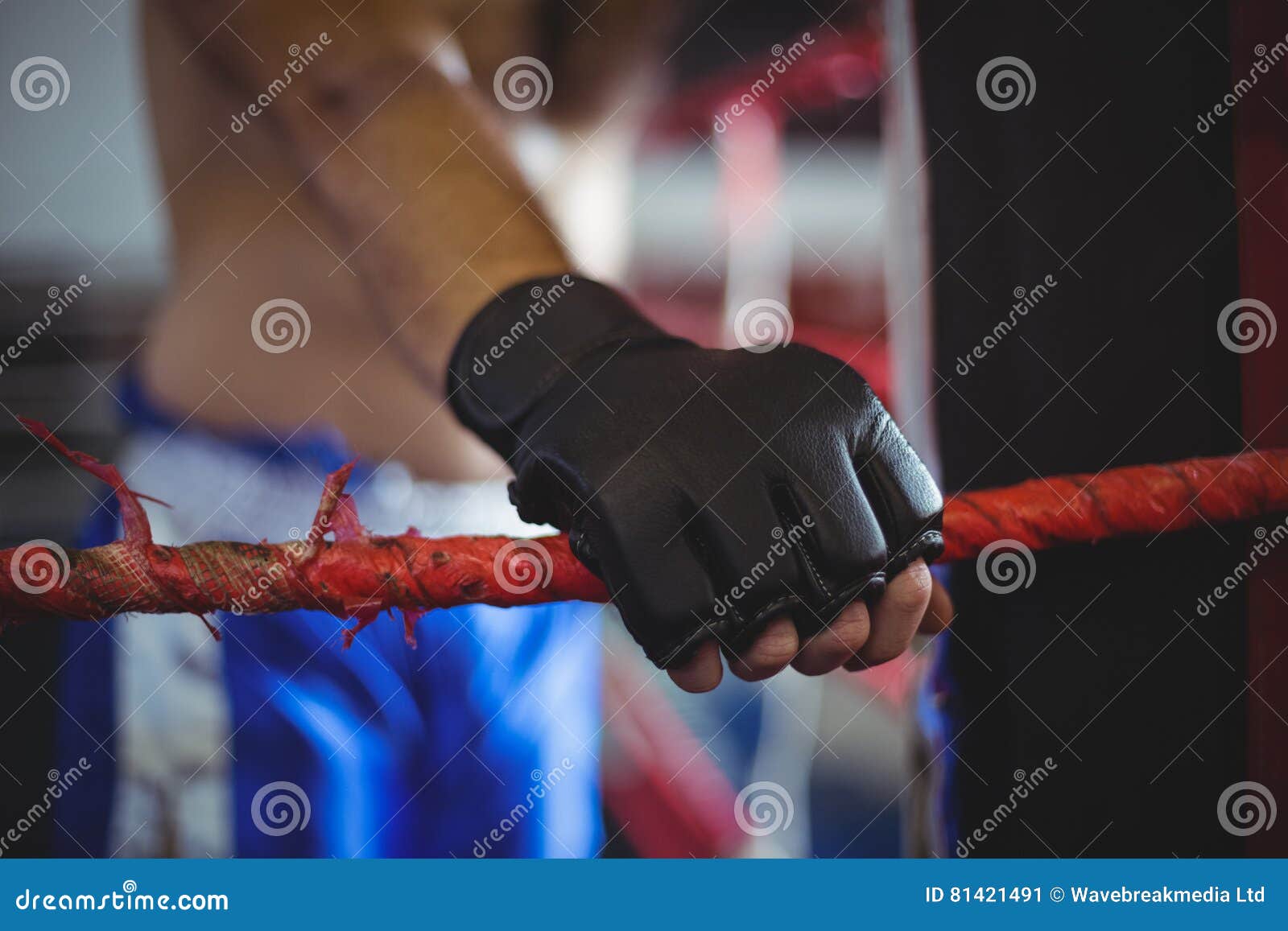 Boxer holding a rope stock image. Image of competition - 81421491