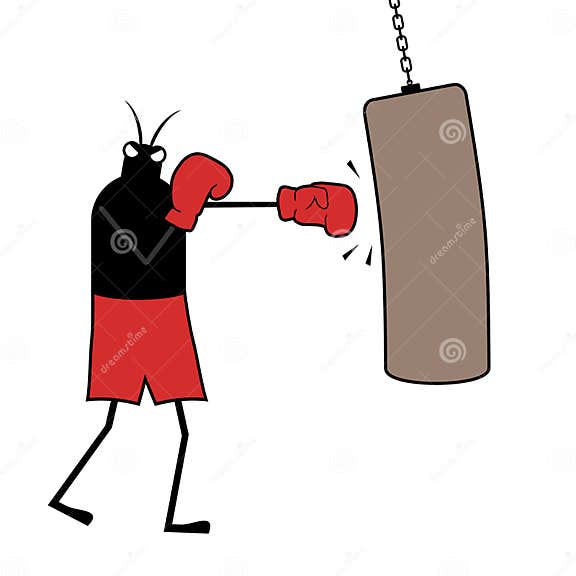 Boxer insect illustration stock vector. Illustration of nature - 97835103