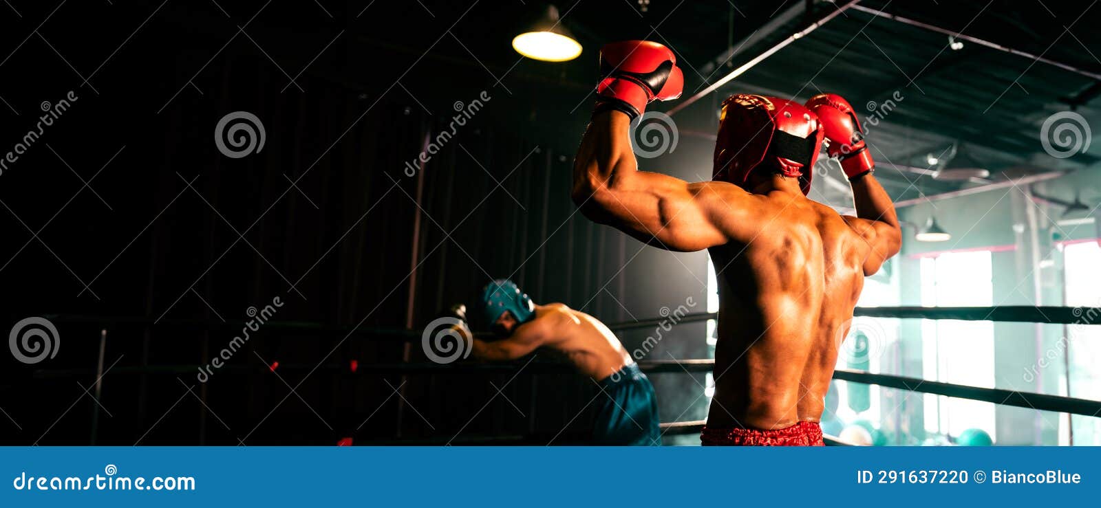 Boxer and Intimidation with Victory or Winner Posing. Spur Stock Photo ...