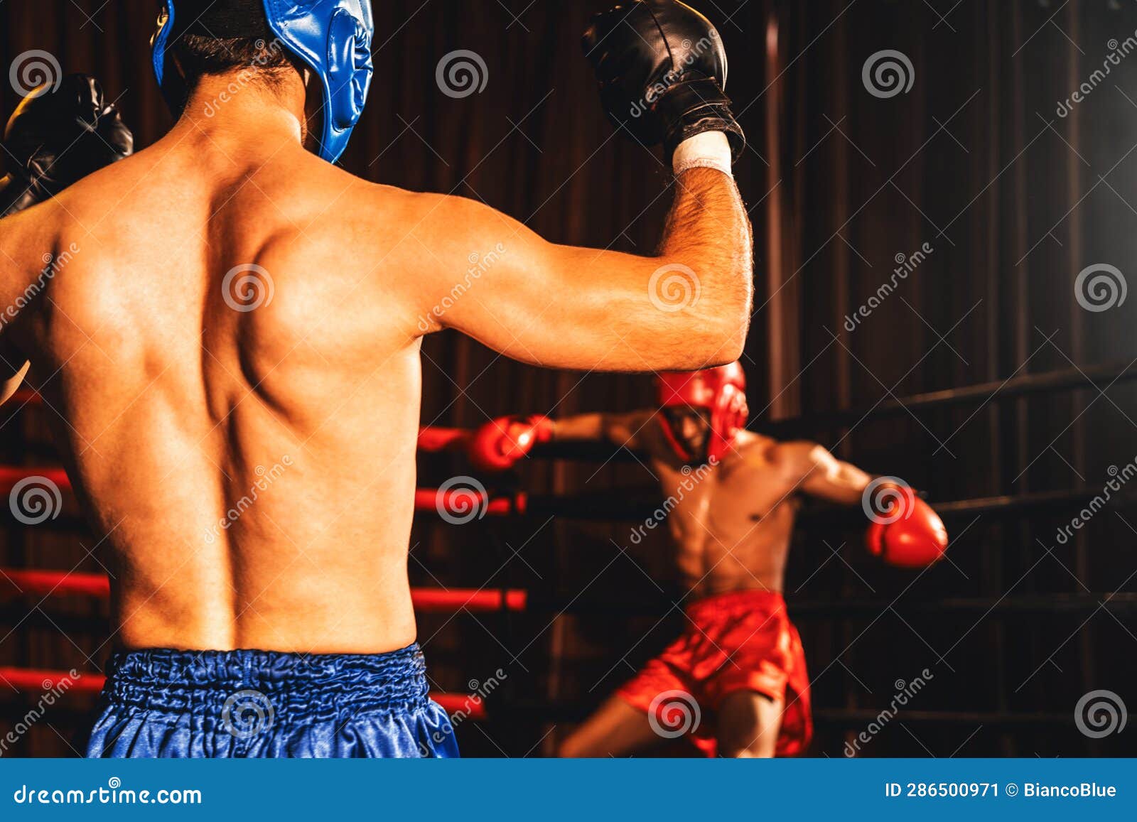 Boxer and Intimidation with Victory or Winner Posing. Impetus Stock ...