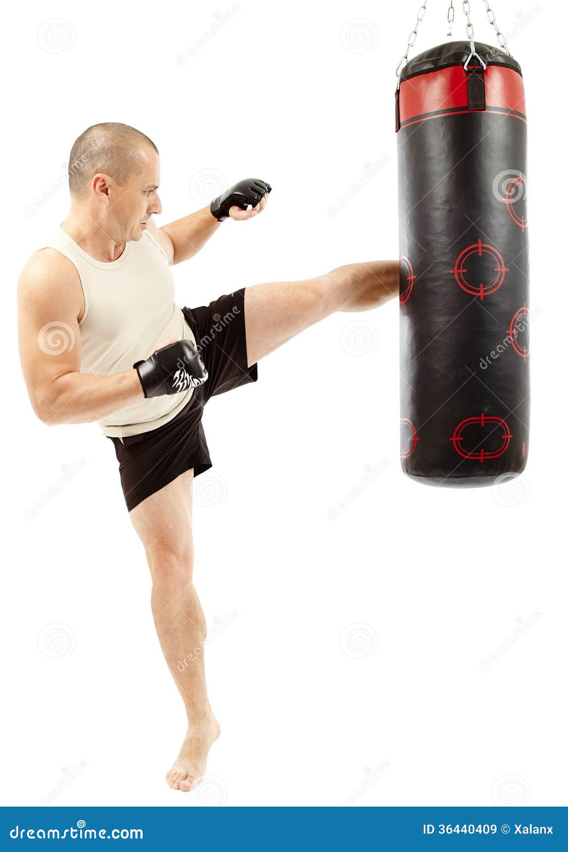 Boxer Kicking the Punching Bag Stock Image - Image of exercise, alone ...