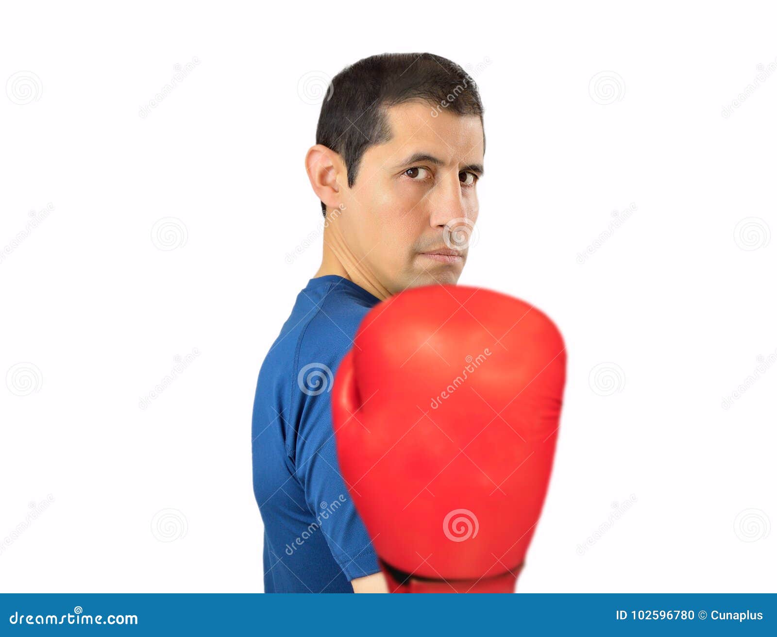 Boxer stock photo. Image of caucasian, friendly, background - 102596780