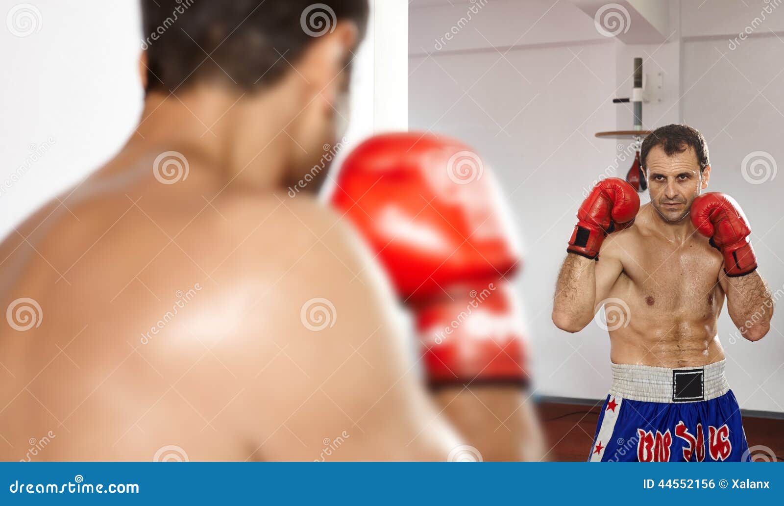Boxer Looking in the Mirror Stock Photo - Image of athletic, reflection ...