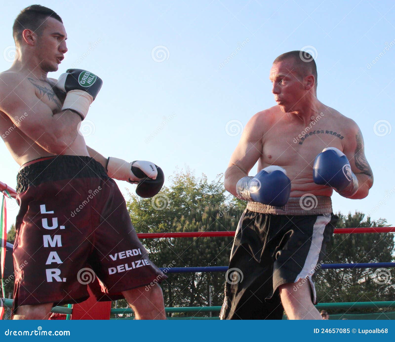 Boxer Luca Tassi Vs Sandor Ramocsa Match Editorial Image - Image of ...