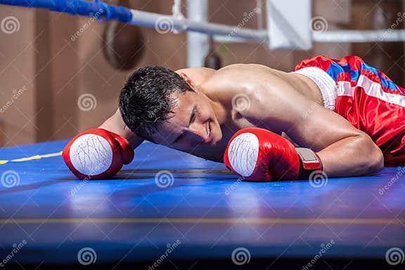 Boxer Lying Knocked Out in a Boxing Ring Stock Image - Image of strong ...