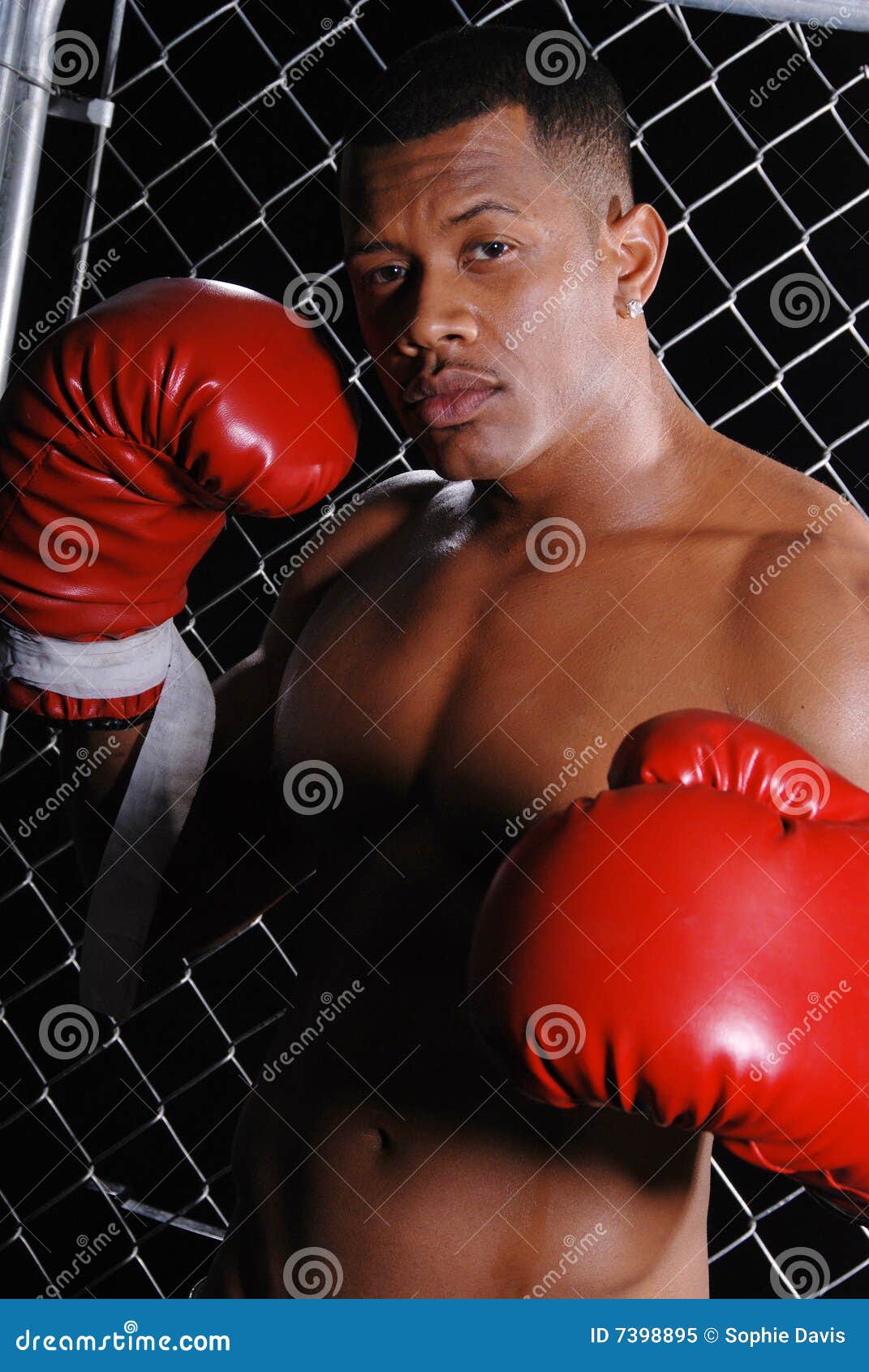 Boxer man. stock image. Image of tight, male, person, fighter - 7398895