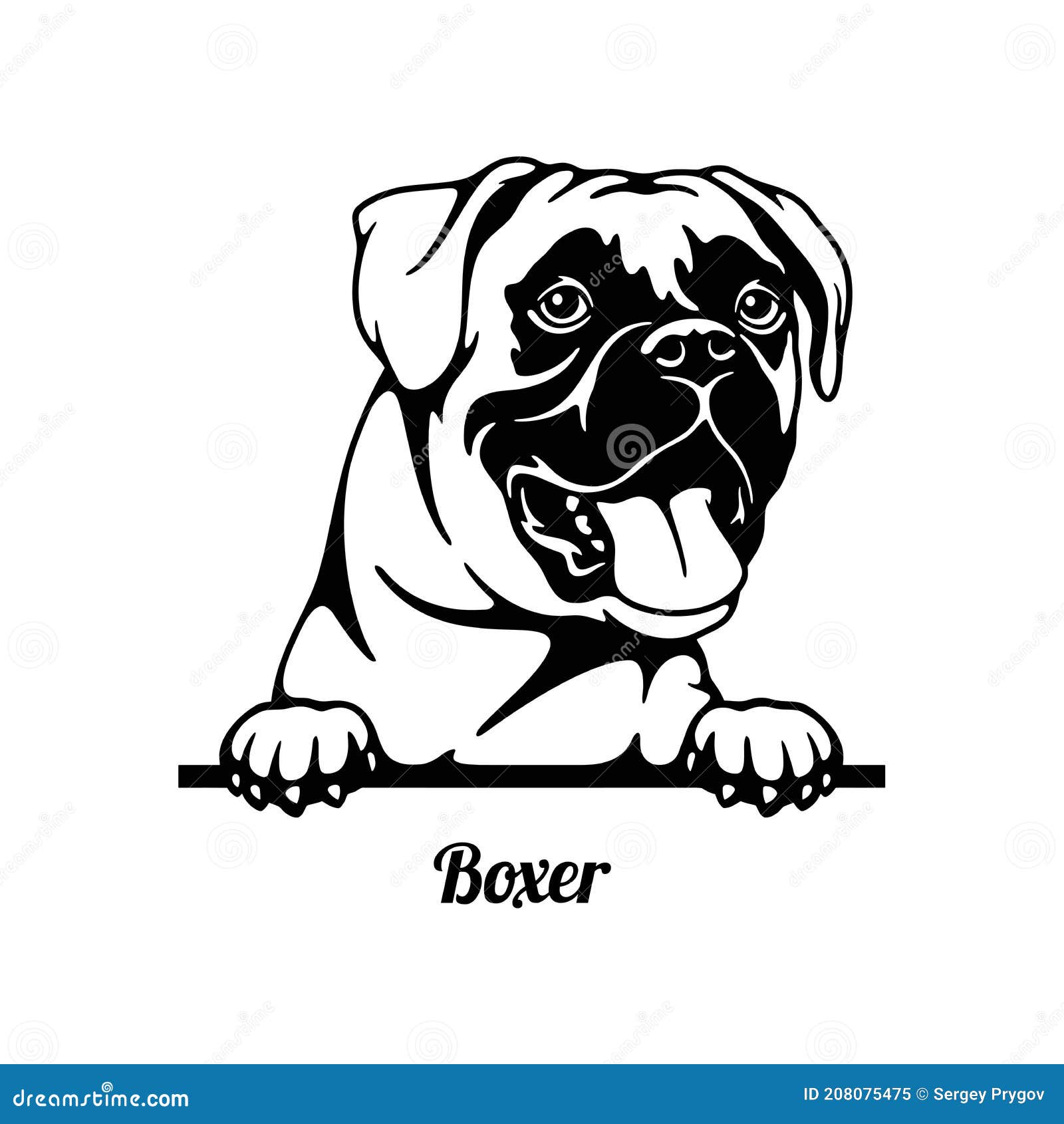 Dog Face Boxer Vector Illustration Flat Style Front | CartoonDealer.com ...