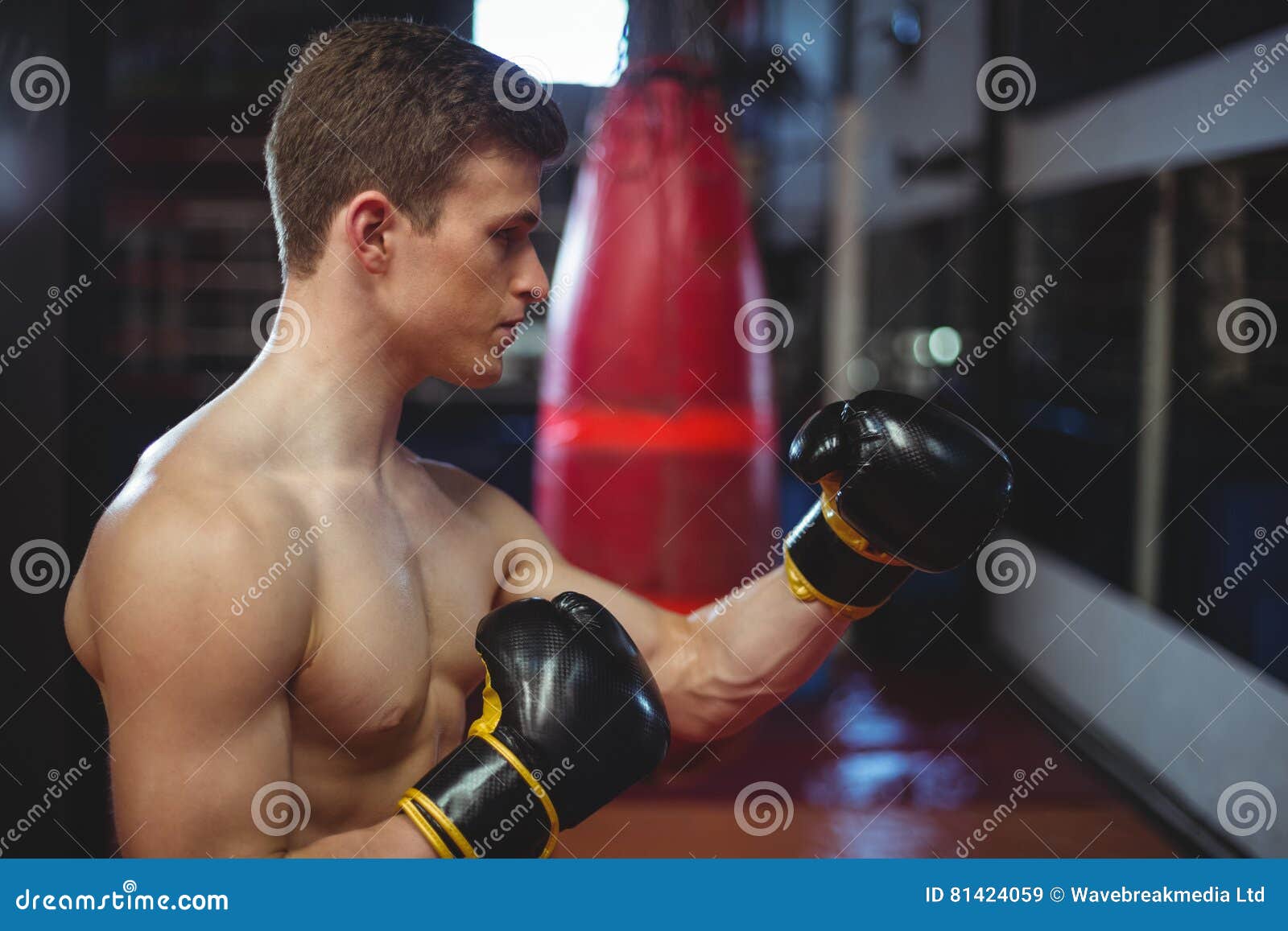 Boxer Performing Boxing Stance Stock Image - Image of lifestyle ...