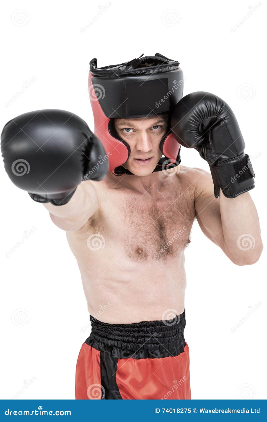 Boxer Performing Upright Stance Stock Image - Image of physical ...