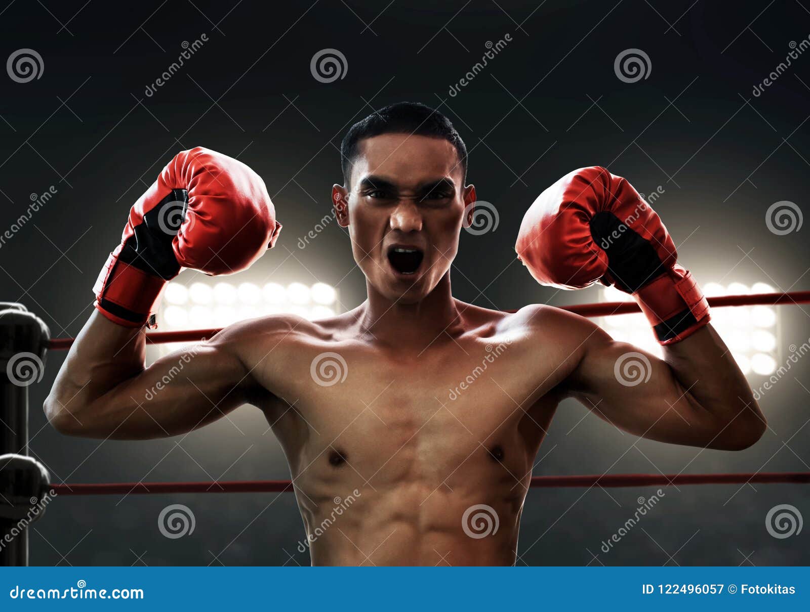 Boxer pose in the ring stock image. Image of boxer, face - 122496057