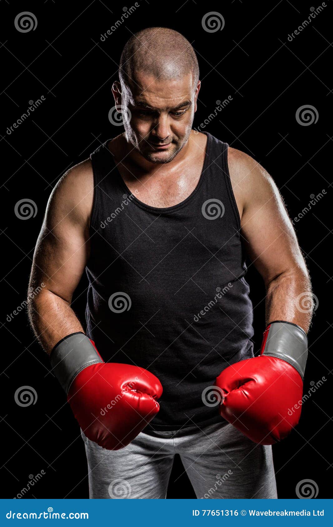 Boxer posing after failure stock photo. Image of front - 77651316