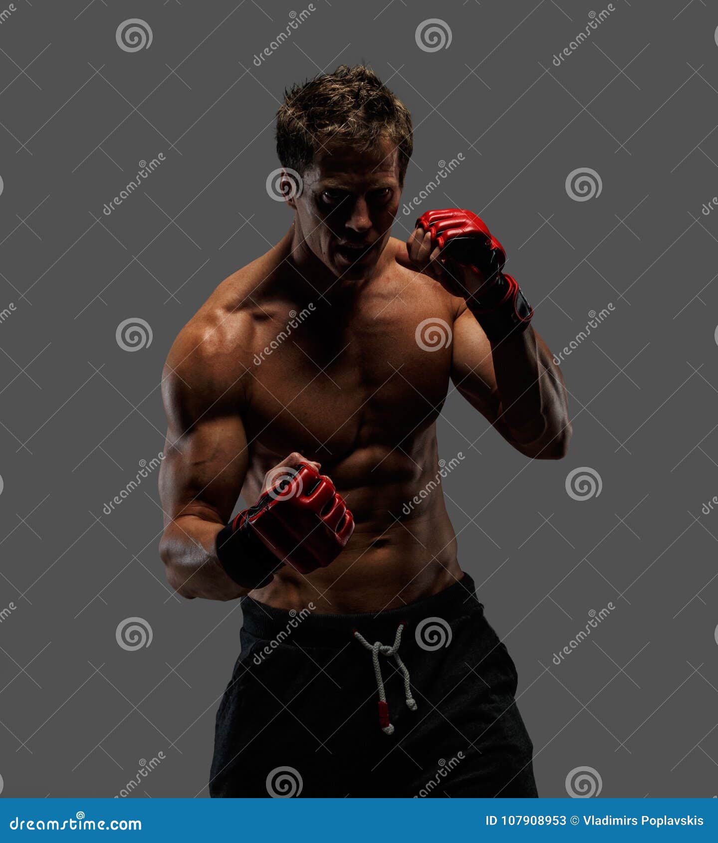 Boxer posing in studio. stock image. Image of fearless - 107908953