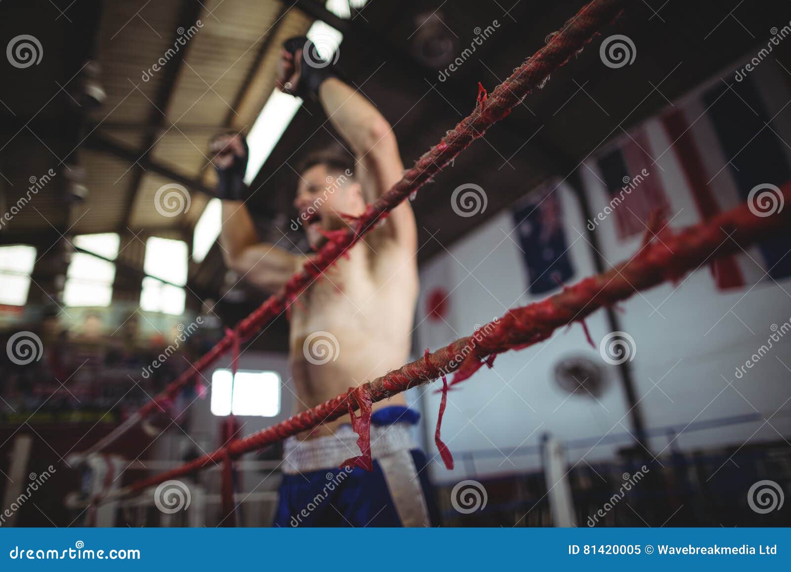 Boxer posing after victory stock image. Image of male - 81420005
